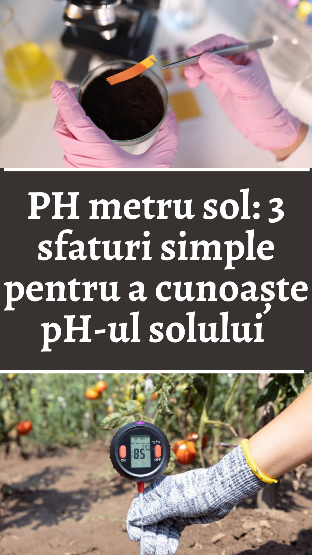 PH metru sol: 3 sfaturi simple pentru a cunoaște pH-ul solului (+ top 3 ...