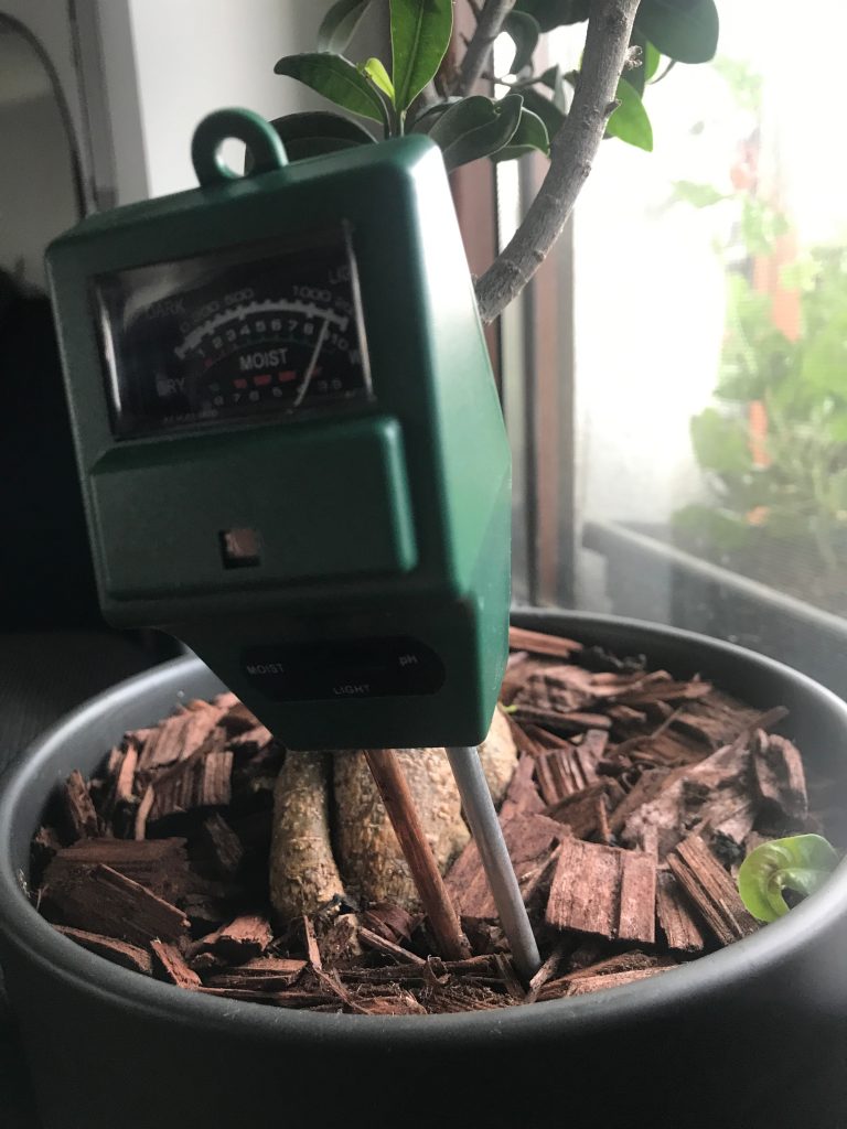 PH metru sol: 3 sfaturi simple pentru a cunoaște pH-ul solului (+ top 3 ...