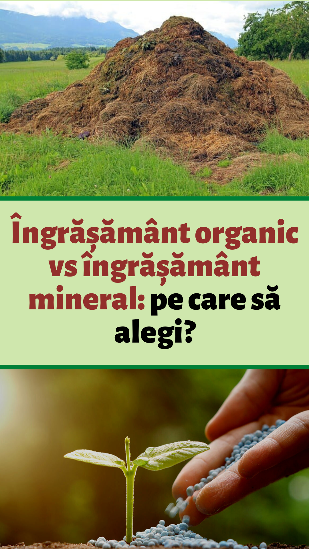 Îngrășământ organic vs îngrășământ mineral: pe care să alegi?